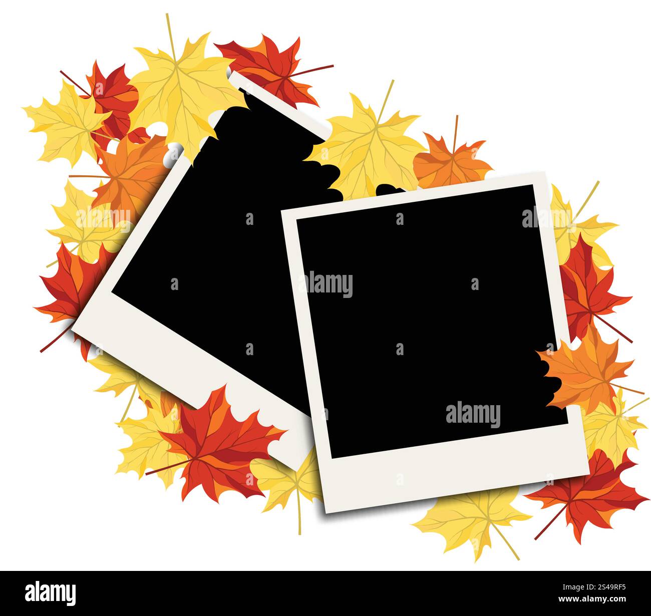 Autumn Frame With Blank Photograph and Maple Leaves Over and Under It ...