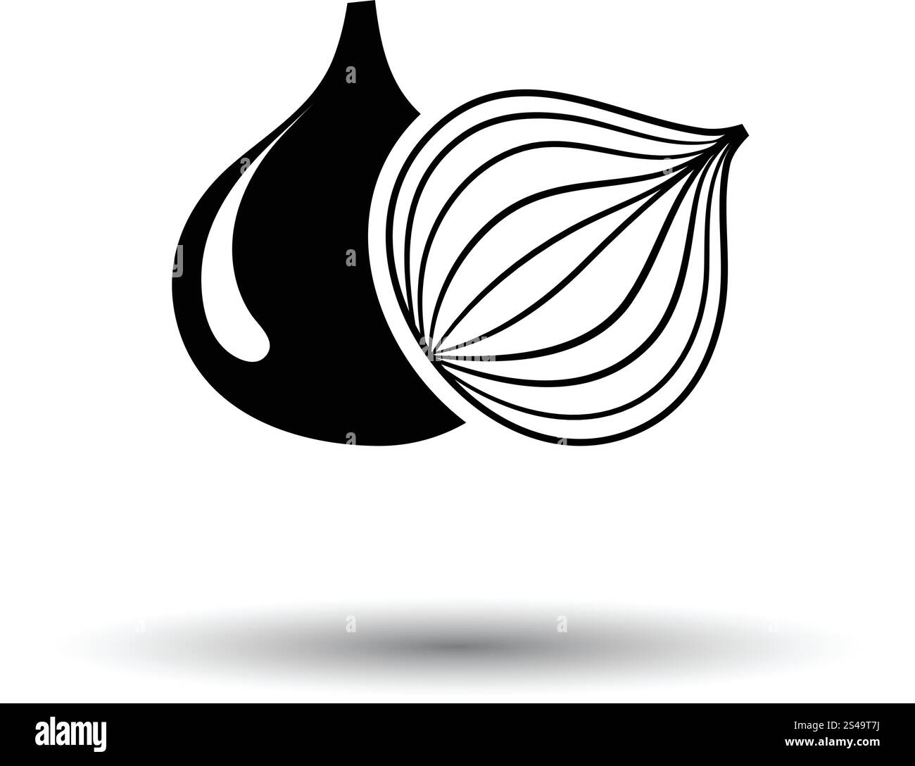 Onion icon. White background with shadow design. Vector illustration ...