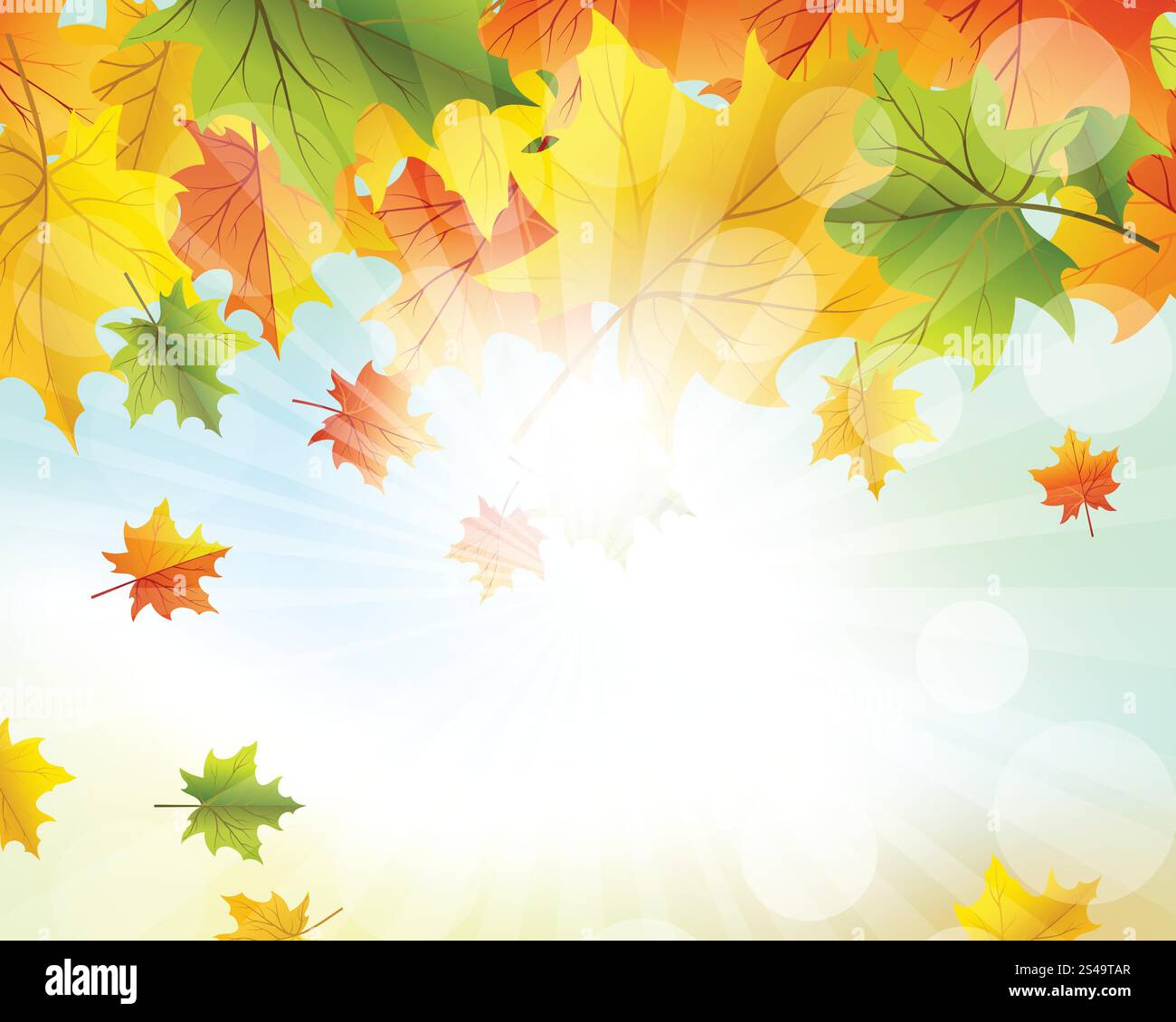 Autumn Frame With Falling Maple Leaves on Sky Background. Elegant ...