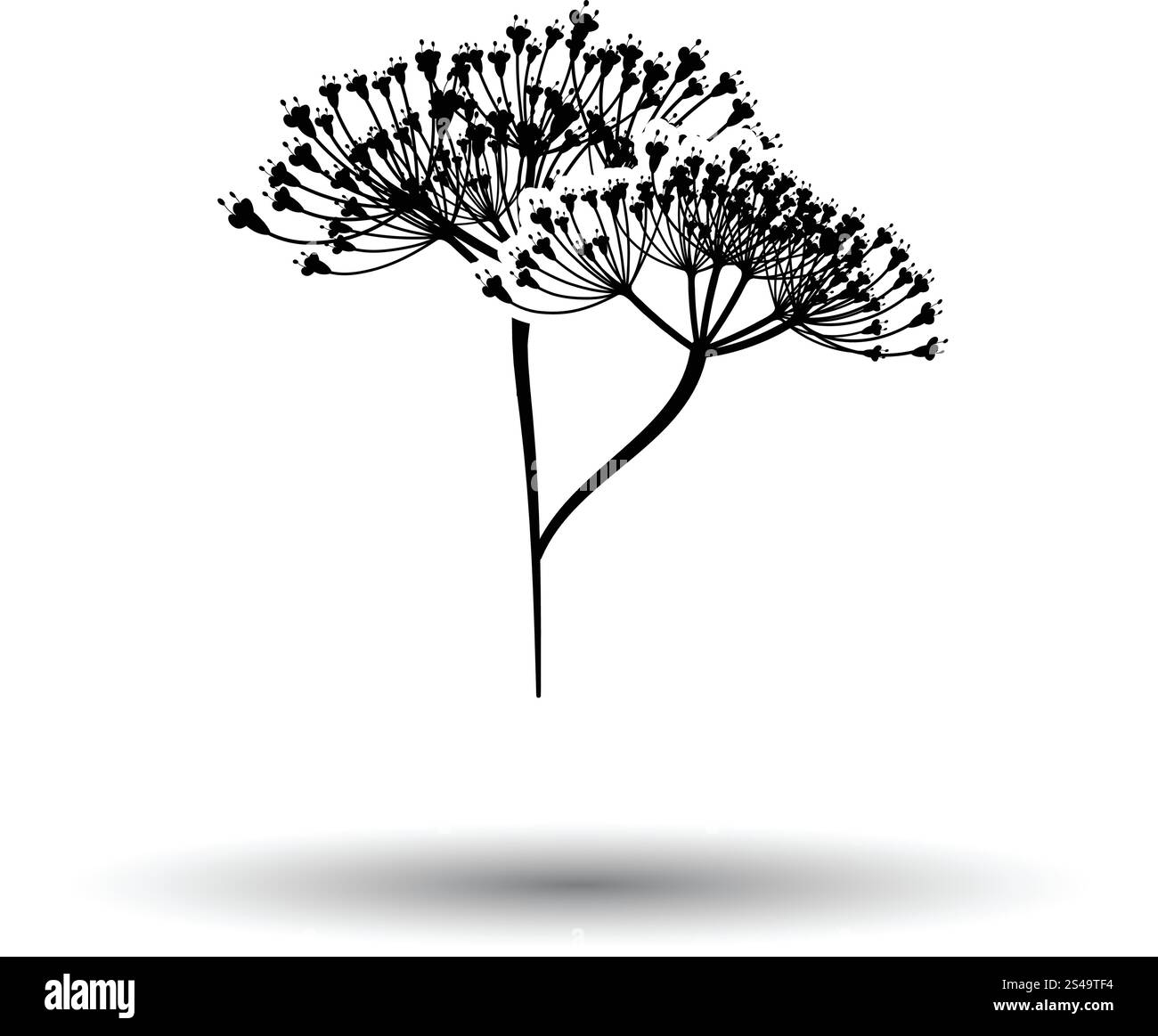 Dill icon. White background with shadow design. Vector illustration ...