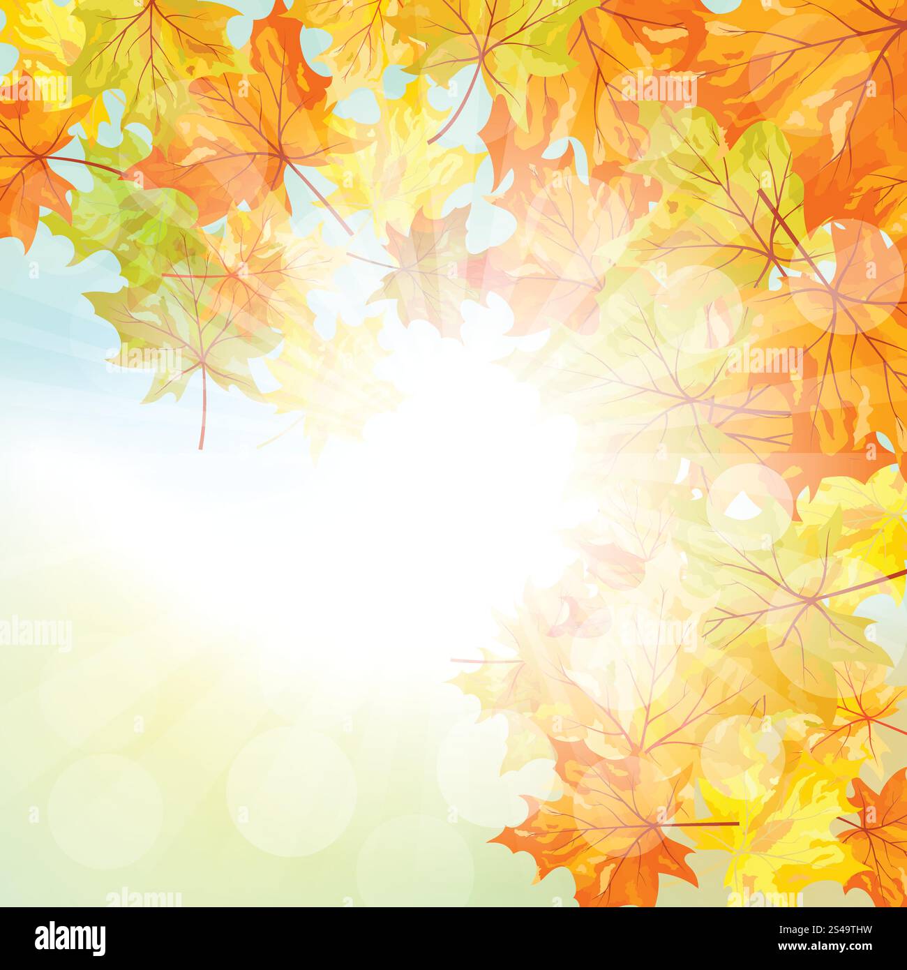 Autumn Frame With Falling Maple Leaves on Sky Background. Elegant ...