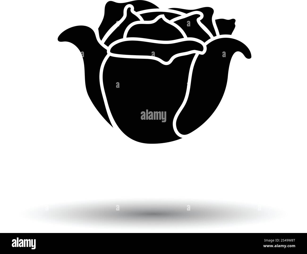 Cabbage icon. White background with shadow design. Vector illustration ...