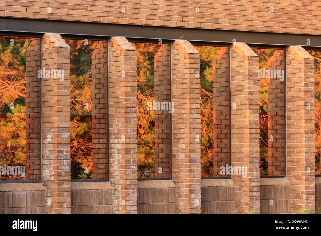 The brick wall has a lot of windows, and the sun is shining through them, creating a warm and ...