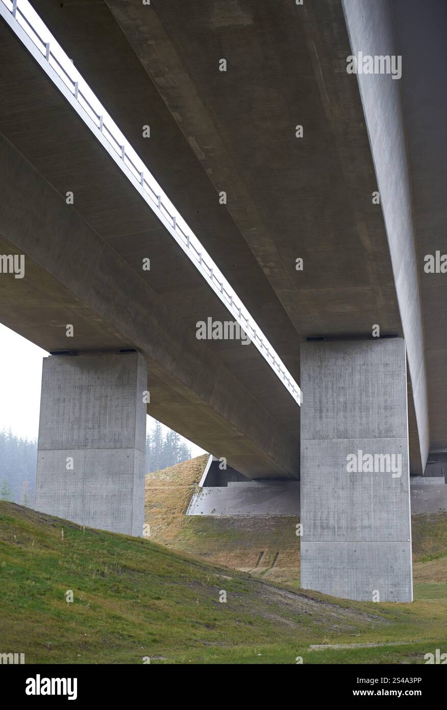 Bridge, architecture and grass field with concrete pillars for urban ...