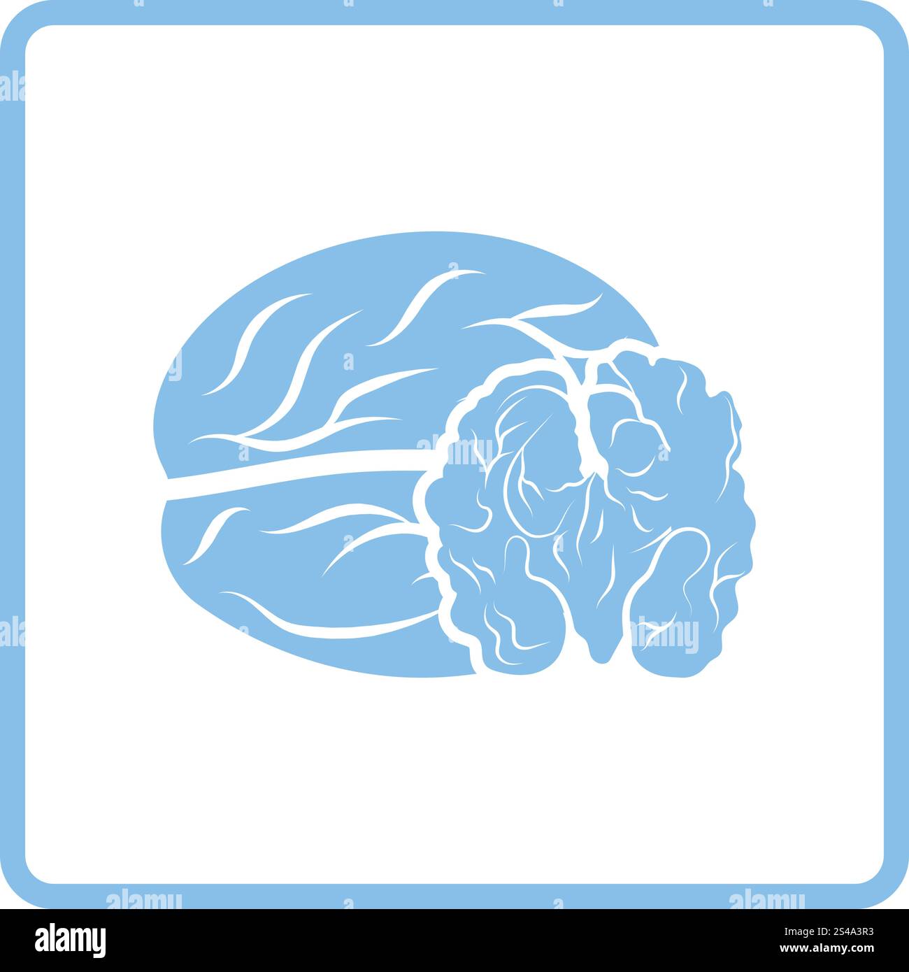 Walnut icon. Blue frame design. Vector illustration Stock Vector Image ...