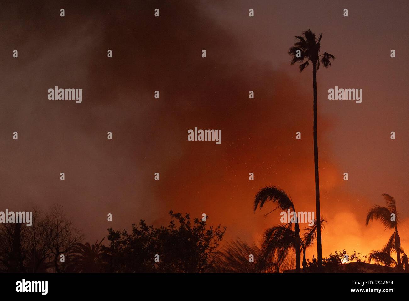 Santa Ana wind blown flames and smoke from the Eaton Fire billow behind ...