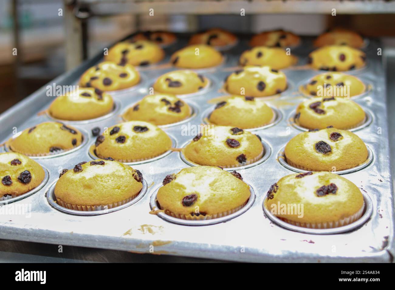 bakery of sweet biscuits, bakery business Stock Photo - Alamy
