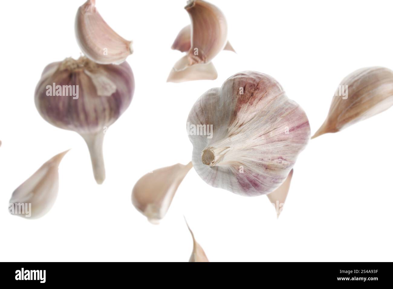Flying fresh garlic and cloves on white background Stock Photo - Alamy