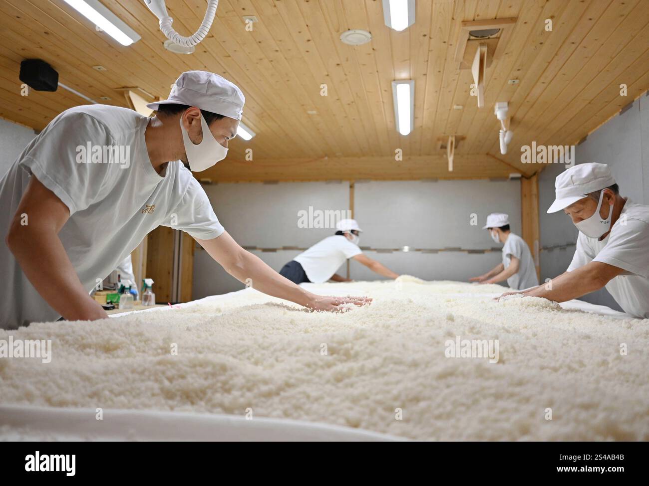 Kurabito brewers loosen and mix the hardened rice koji at Yoshida ...