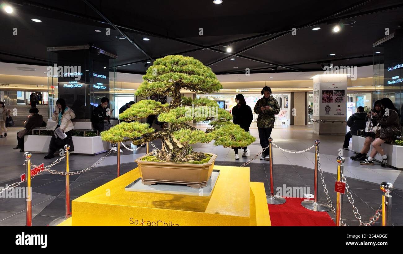 January 3, 2025 People and people celebrating the New Year in the ...