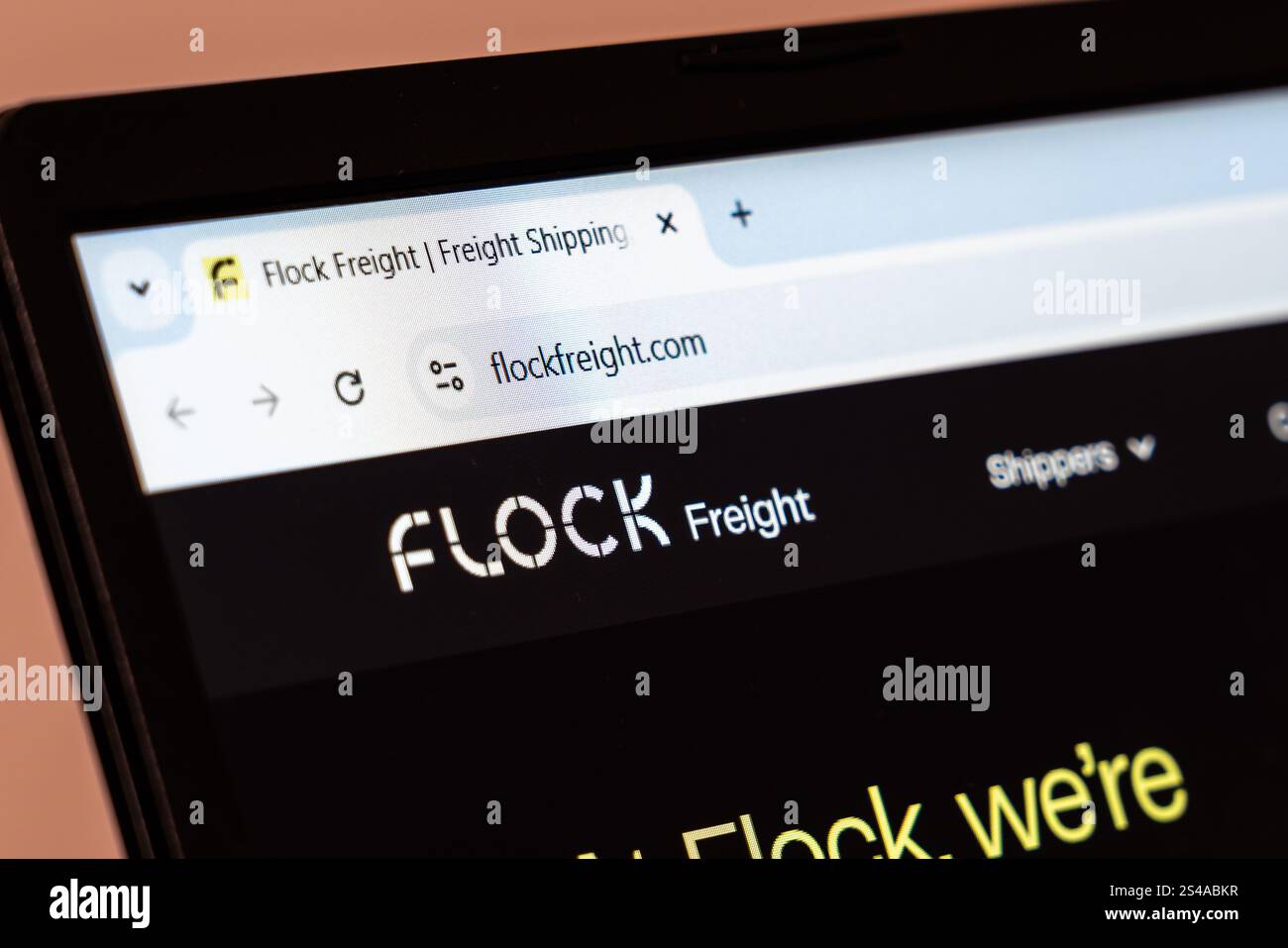 New York, USA - January 10, 2025: Flock Freight website presenting ...