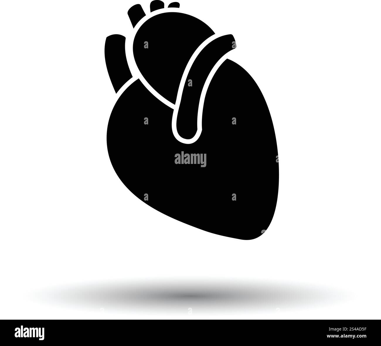 Human heart icon. White background with shadow design. Vector ...