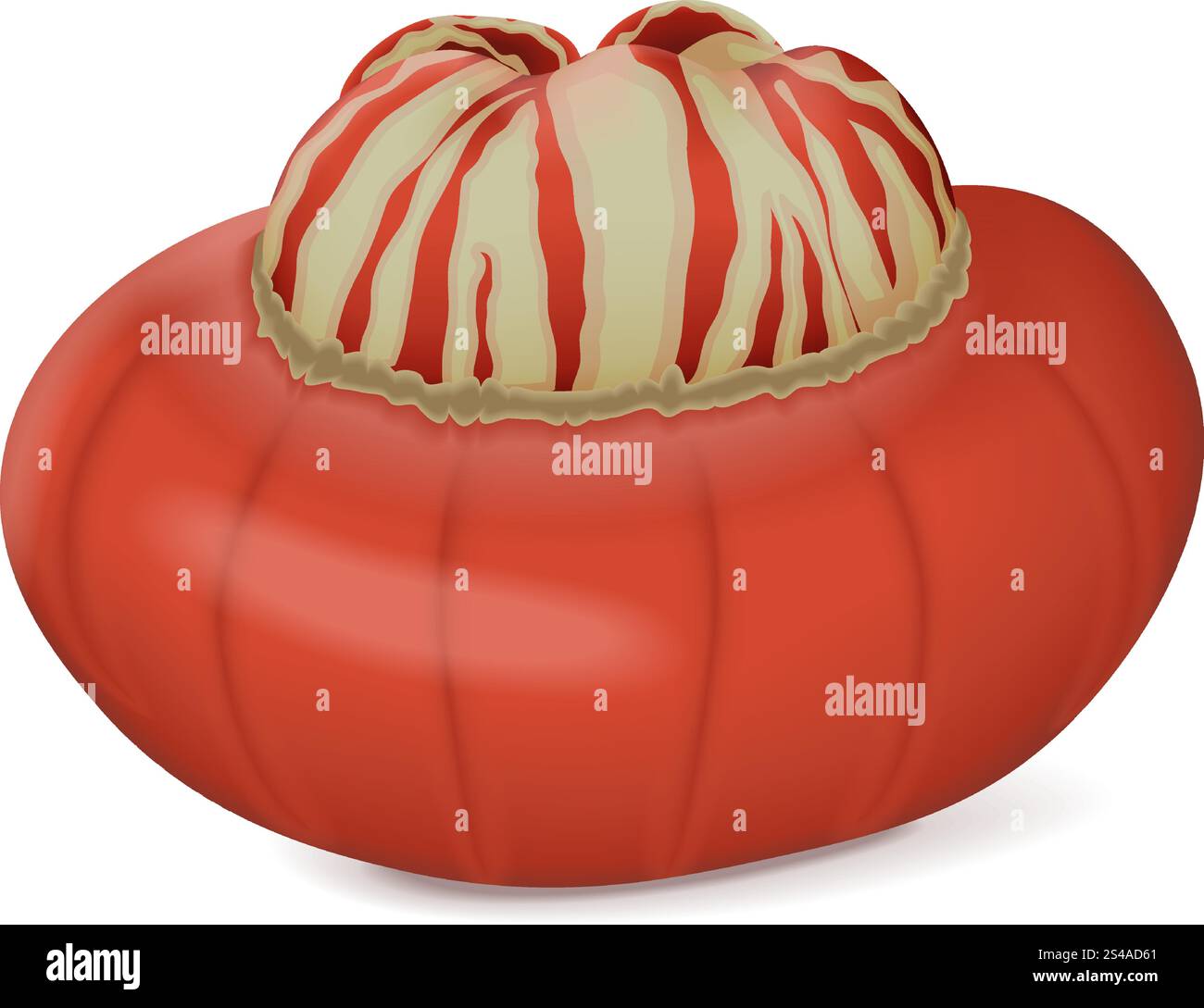 Turban Squash or French Turban squash. Winter squash. Cucurbita maxima ...