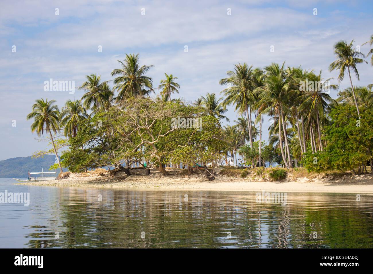Cabin on idyllic beach with palm trees on mountain island. Tropical ...