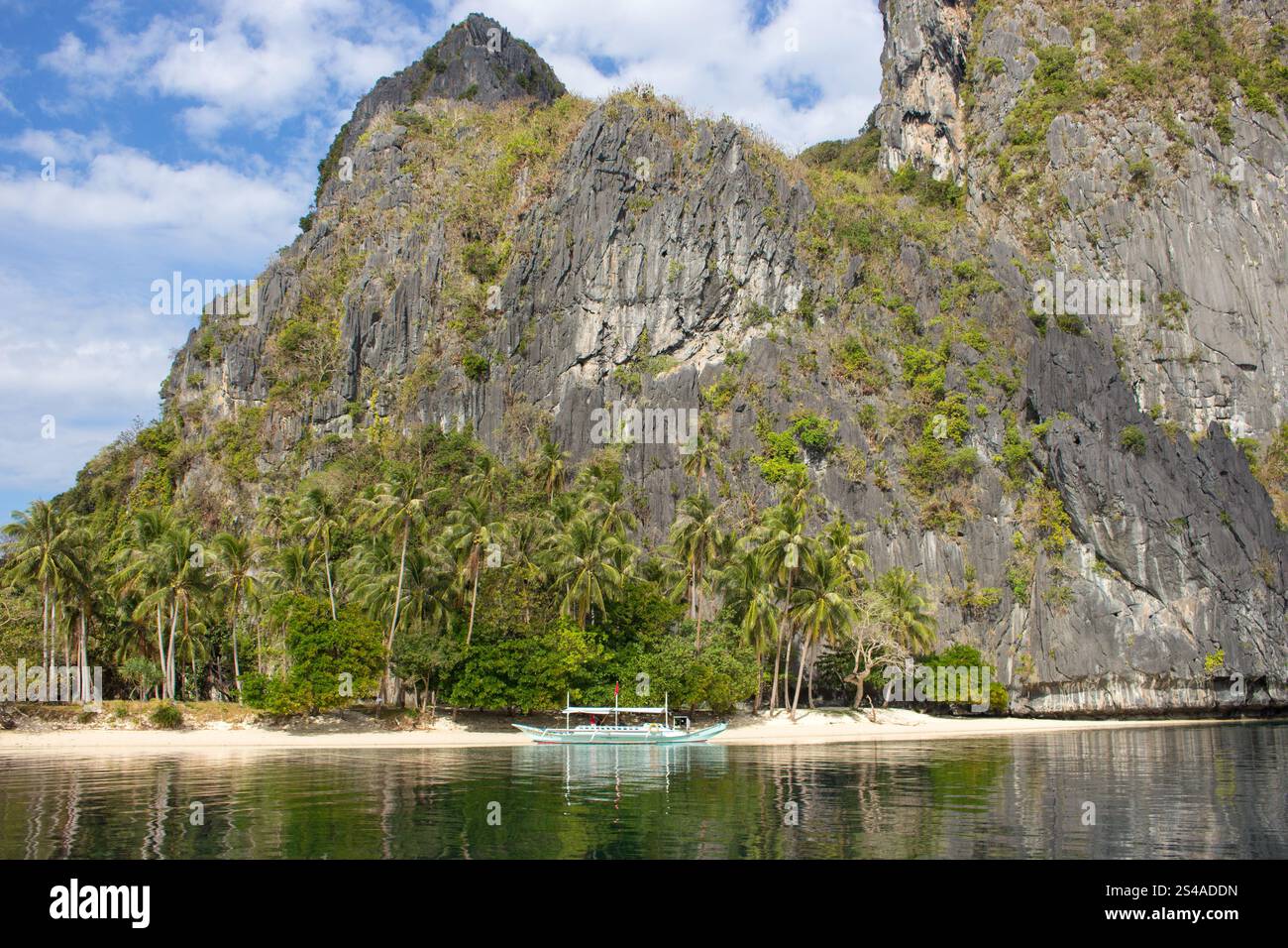 Cabin on idyllic beach with palm trees on mountain island. Tropical ...