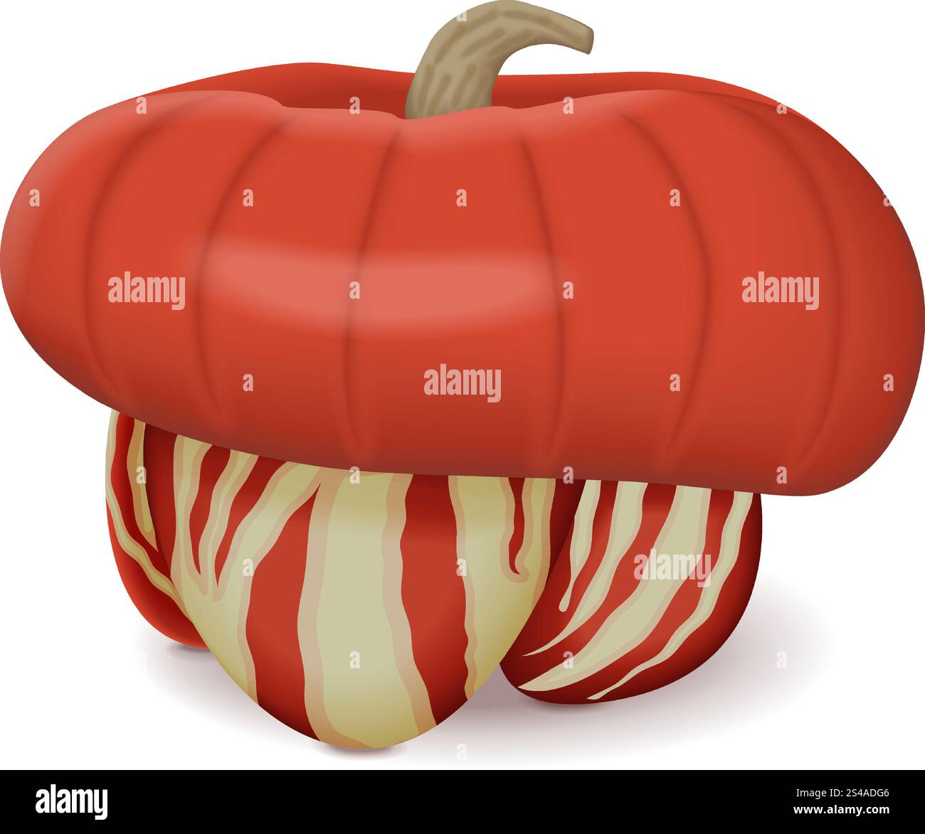 Turban Squash or Turk s Turban. Winter squash. Cucurbita maxima. Fruits ...