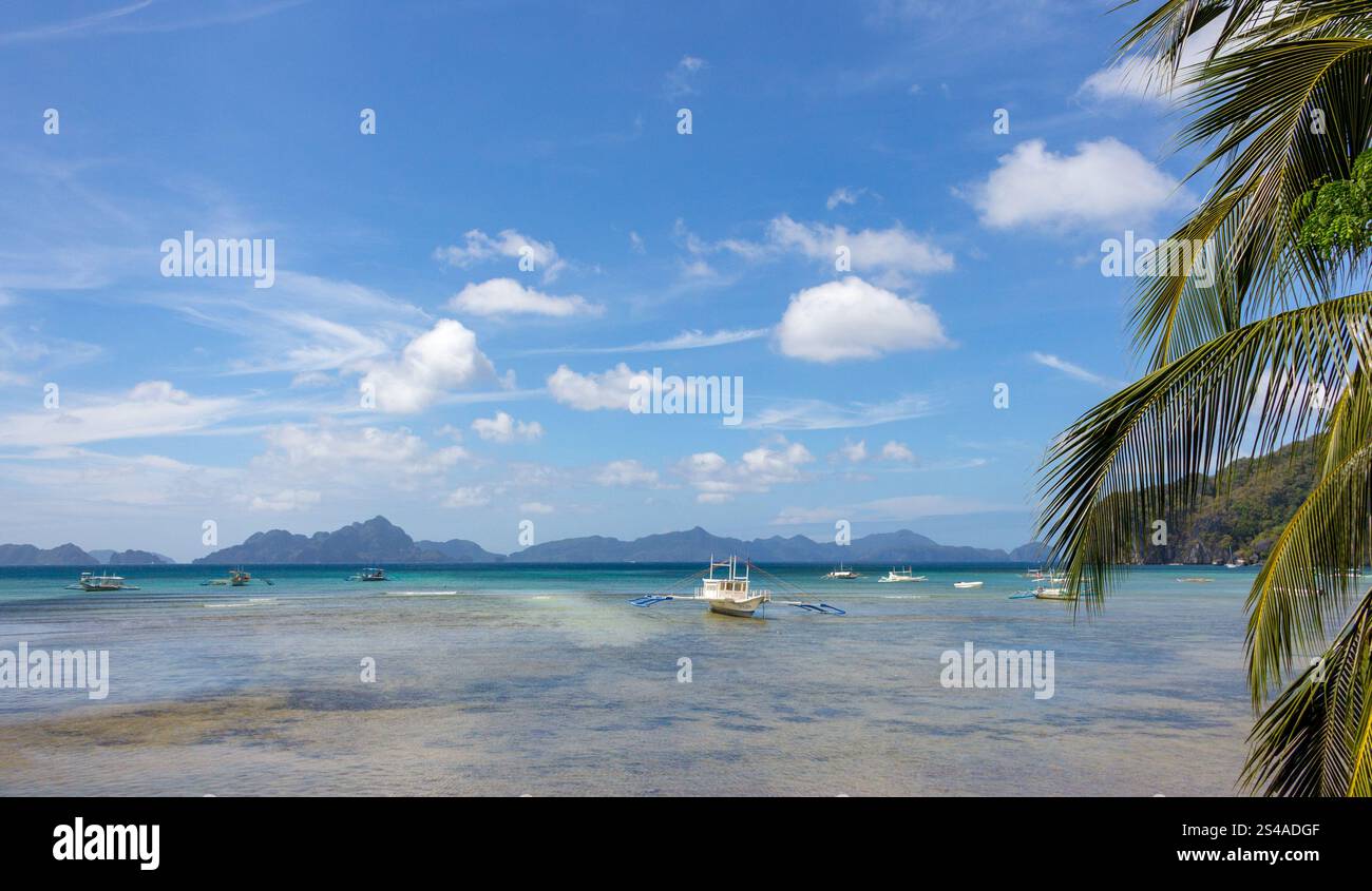 Scenic tropical landscape. Palm tree and boats on seashore. Philippines ...