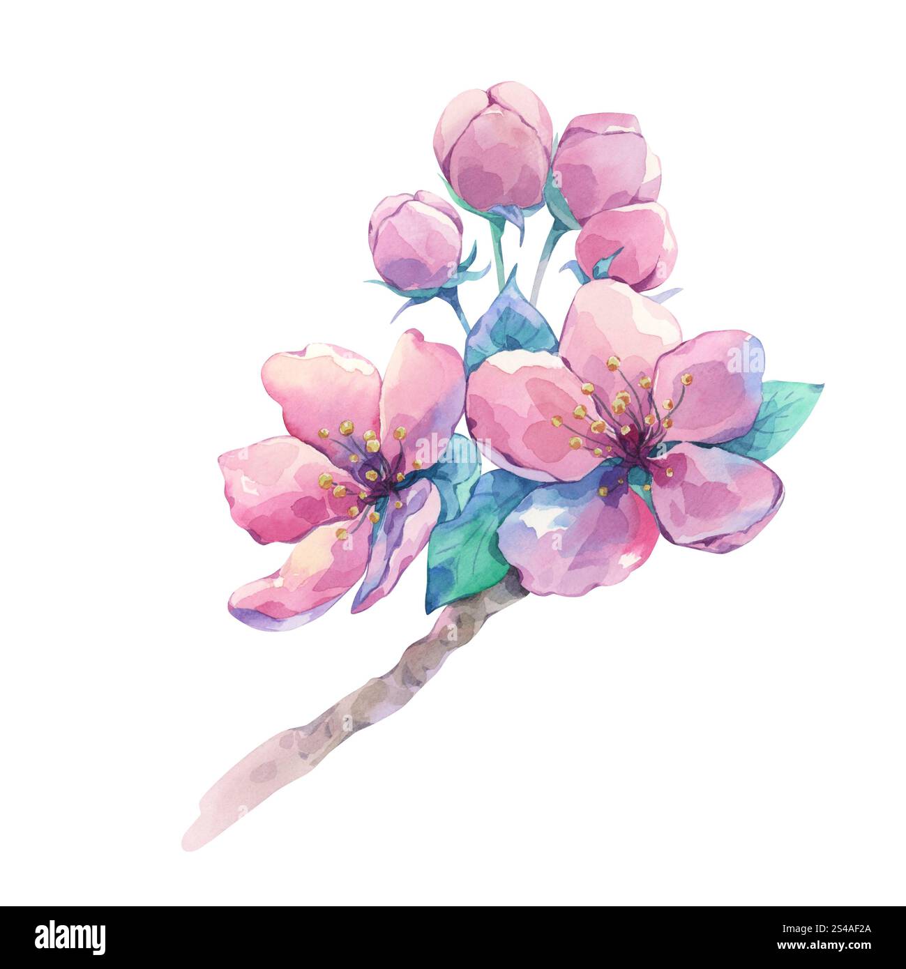 Cute flowers petals leaves Cut Out Stock Images & Pictures - Alamy