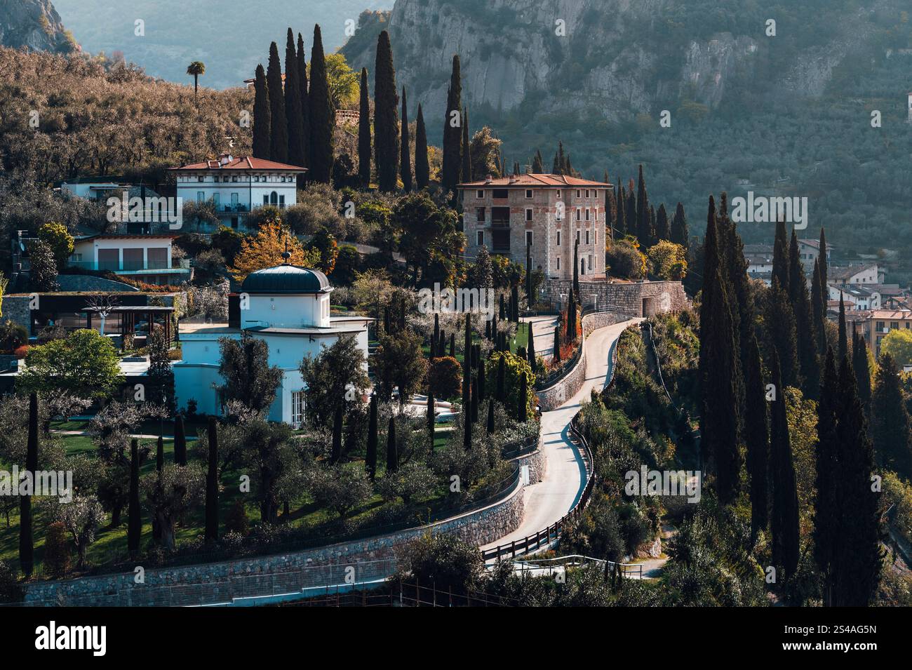 The Essence of Italy: Cypress Trees and Rustic Architecture in the Soft ...