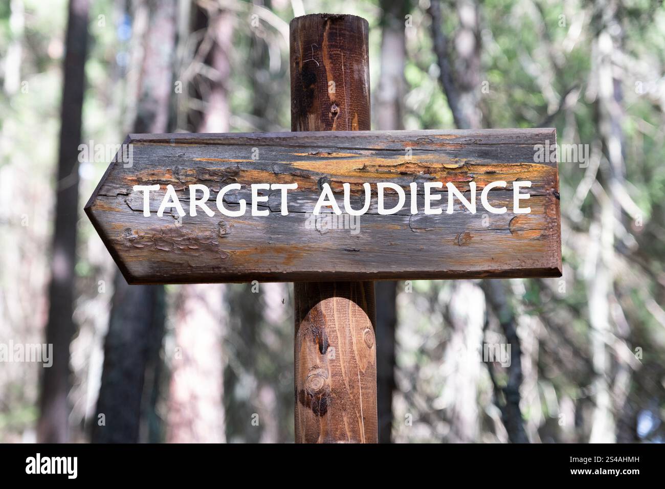 A wooden sign displays the phrase target audience, set against a ...