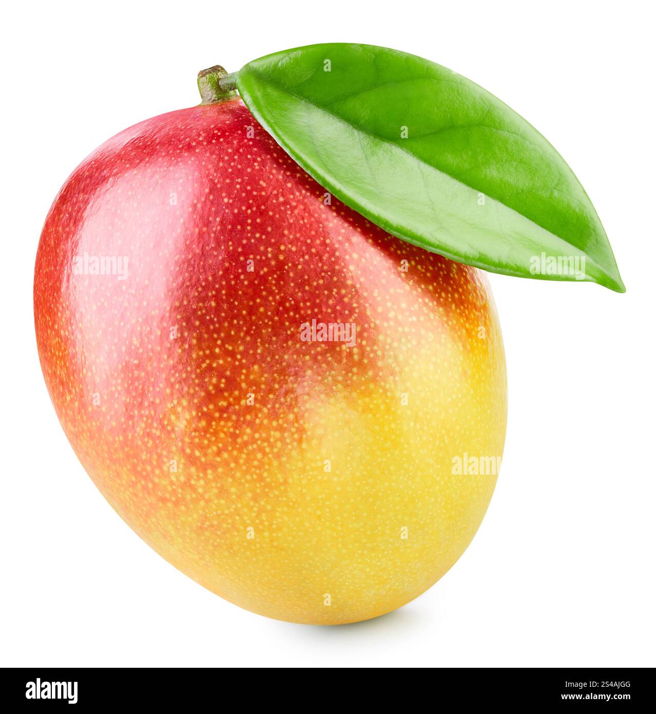 Mango, one fruit with leaf isolated. Mango Clipping Path. Ripe fresh ...