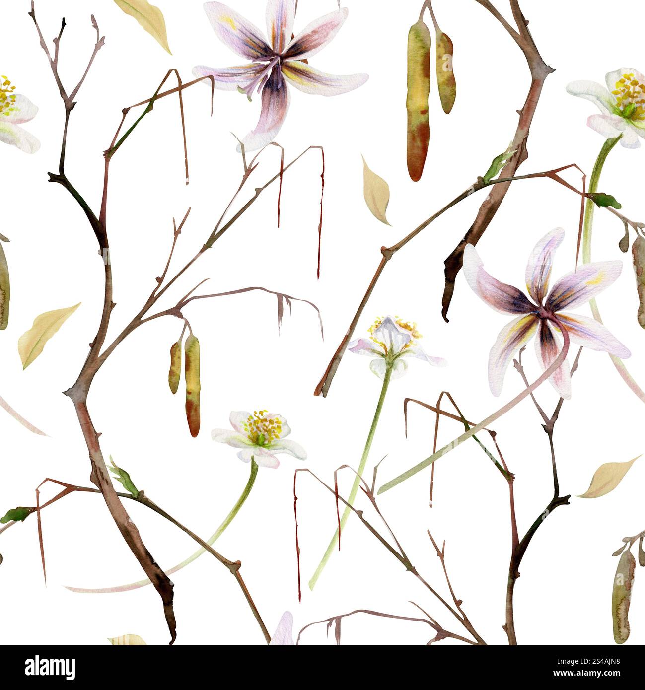 Branch with catkins, spring flowers white forest anemone primrose, fawn ...