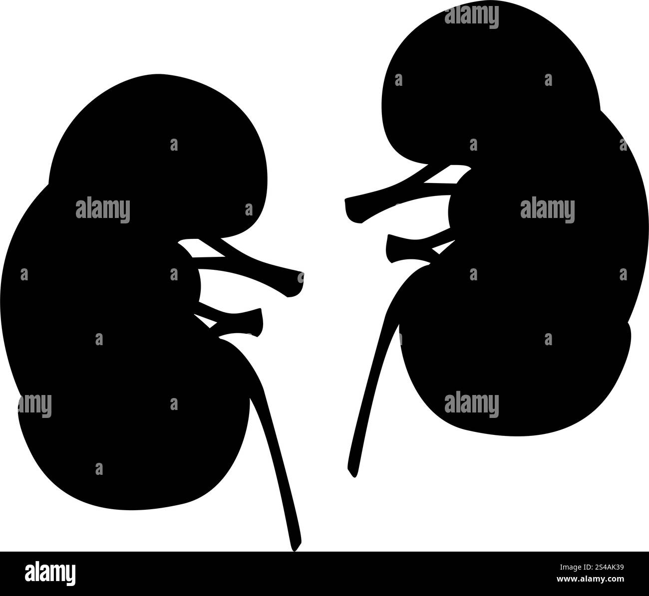 The bladder black color icon Stock Vector Image & Art - Alamy