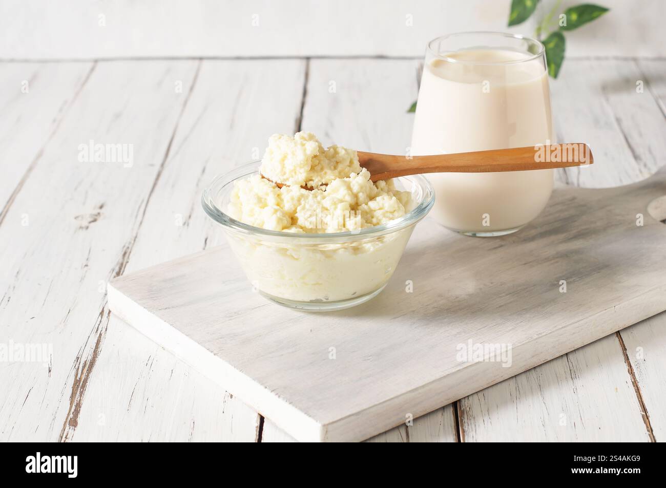 Organic Cow or buffalo colostrum, cooked and uncooked in glass bowl ...
