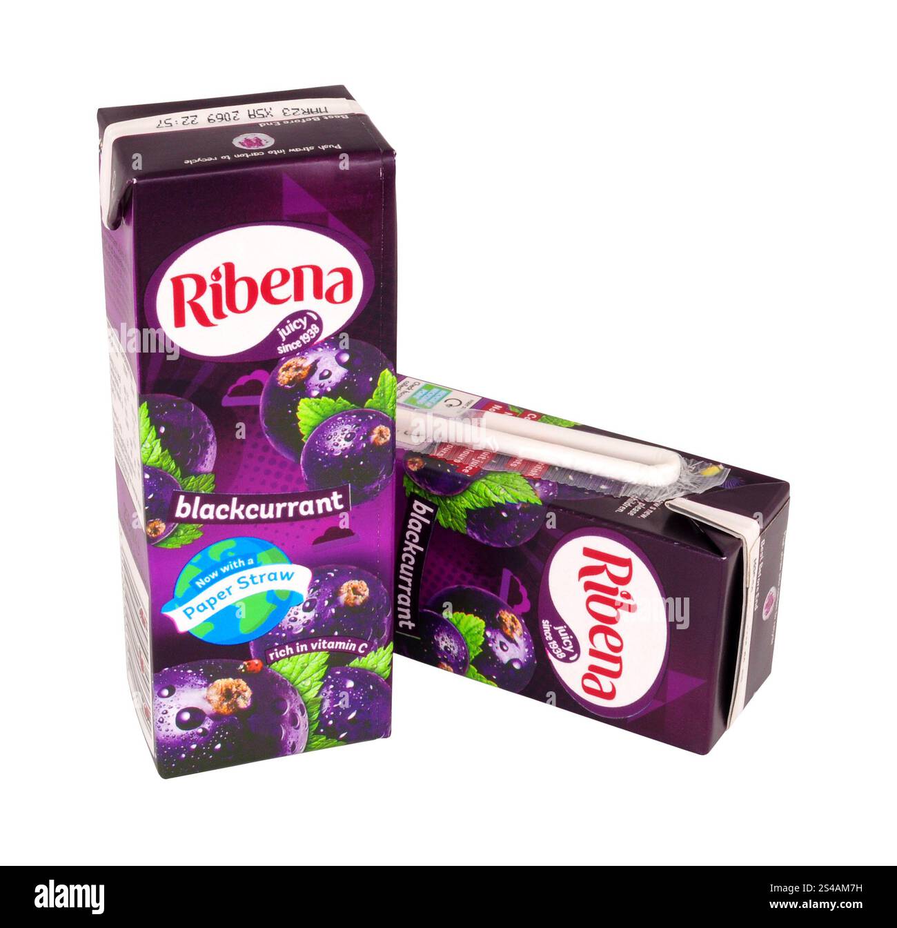 Ribena blackcurrant fruit flavoured uncarbonated soft drink in a 250ml ...
