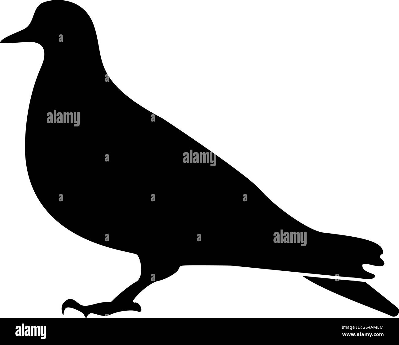 European dove Cut Out Stock Images & Pictures - Alamy