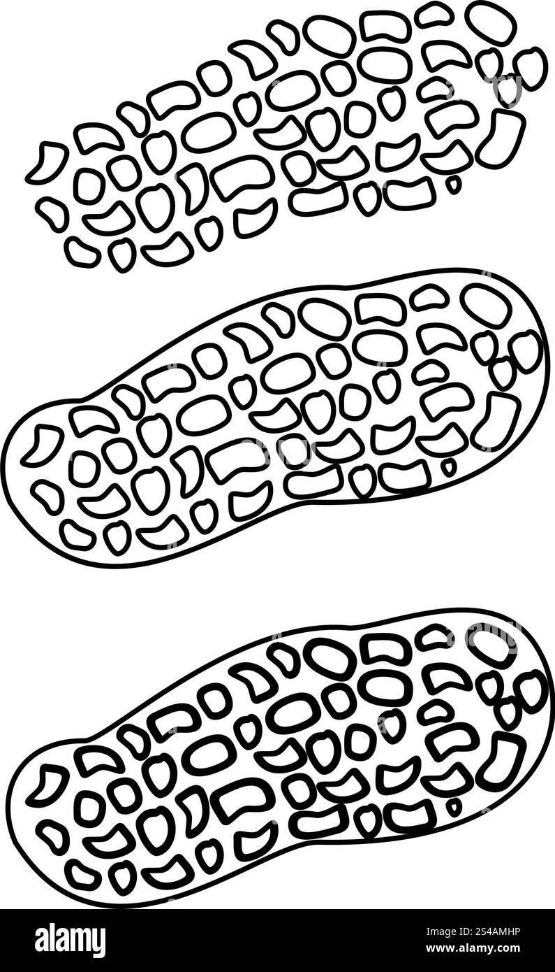 Peanut icon Stock Vector Image & Art - Alamy