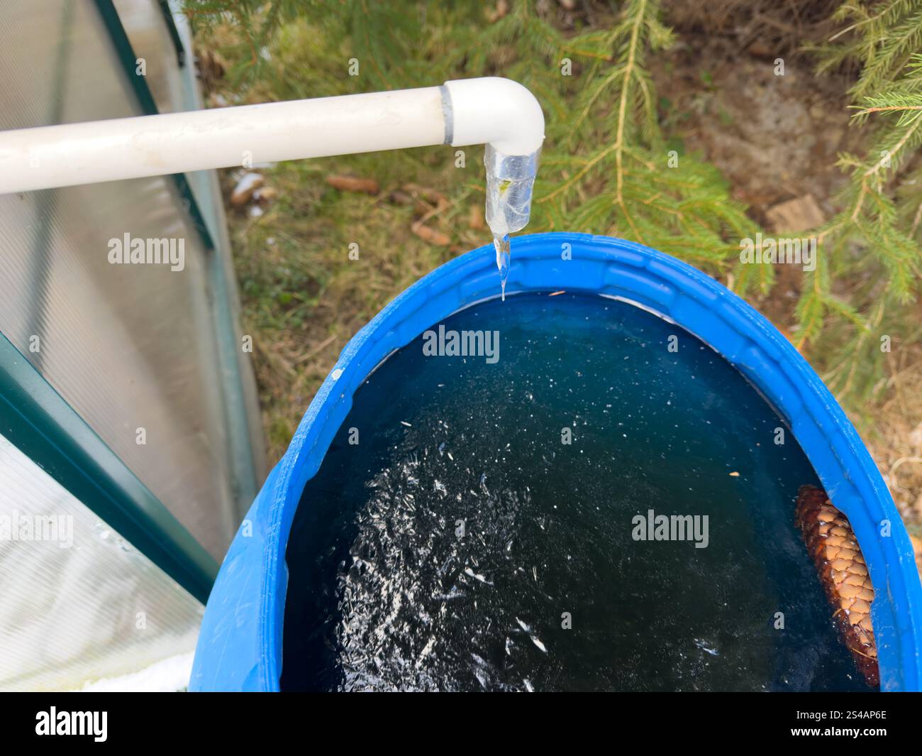 Rain barrel in the garden is frozen over in the cold in winter Stock ...