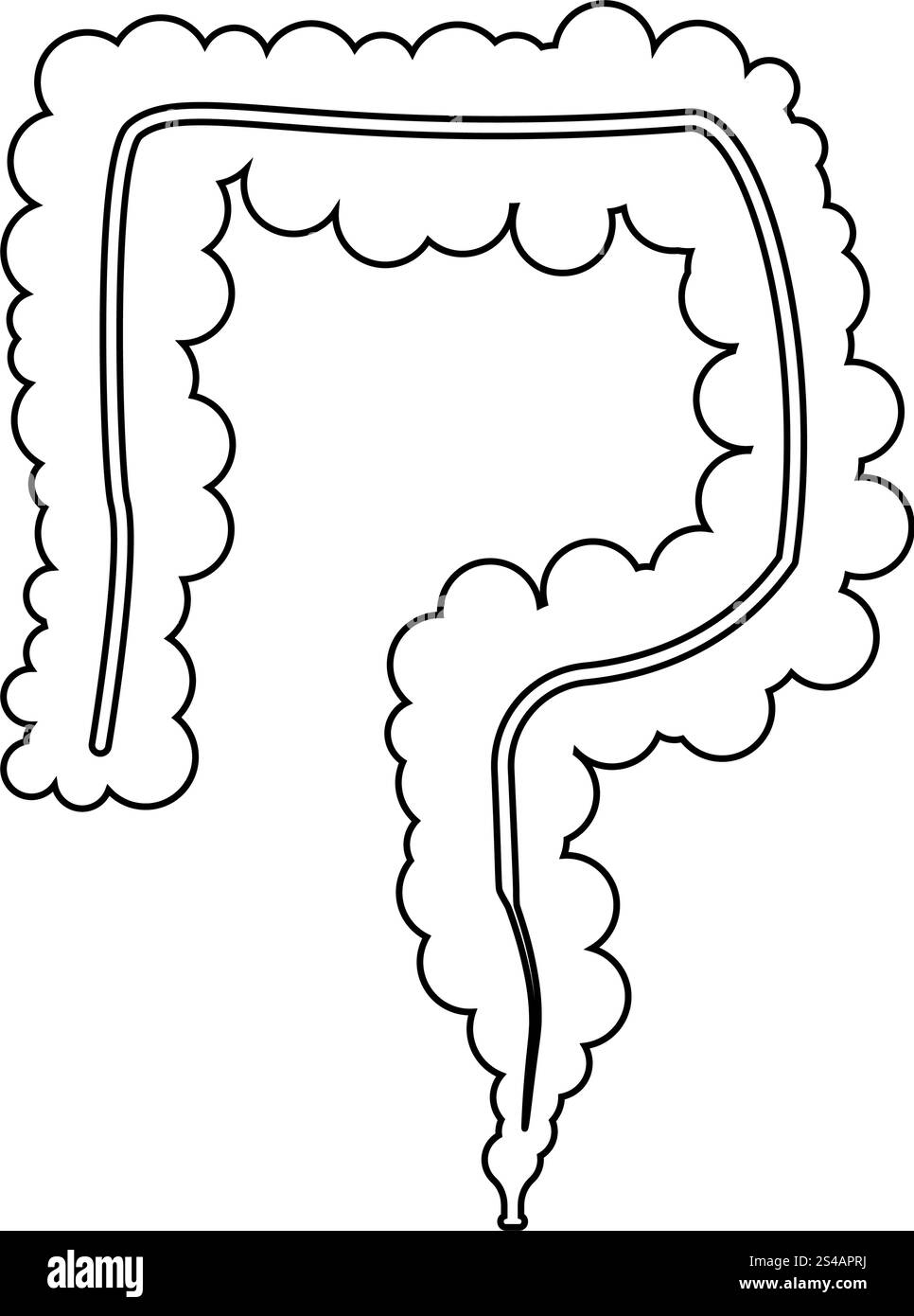 Intestine icon Stock Vector Image & Art - Alamy