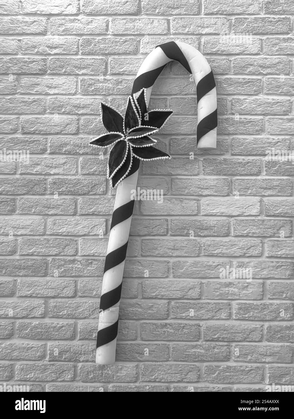 Sugar Cane stick Decoration on Brick Wall Inside Room Stock Photo - Alamy