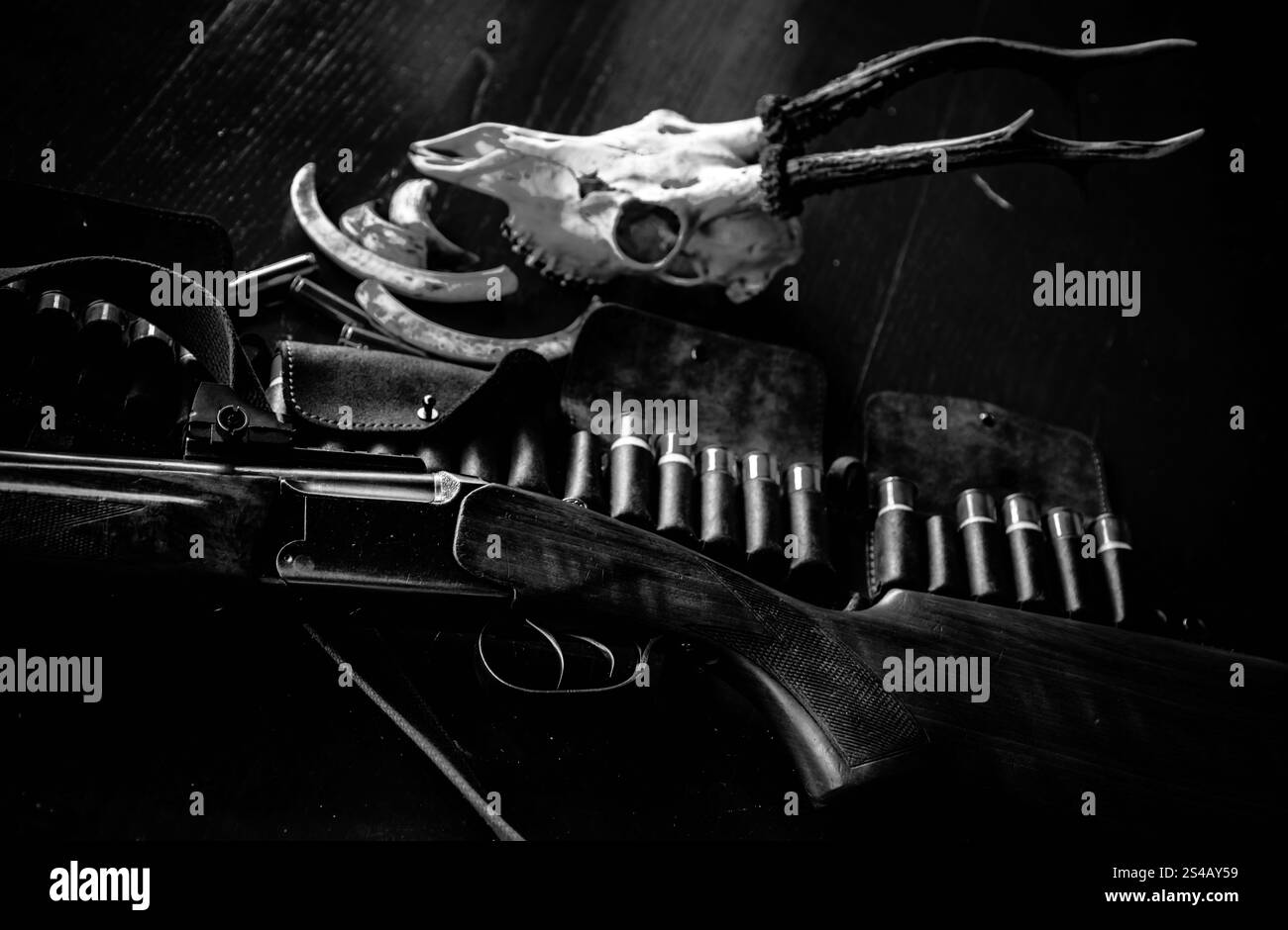 Hunter season. Hunting Trophies. Hunting equipment. Pulled the trigger ...