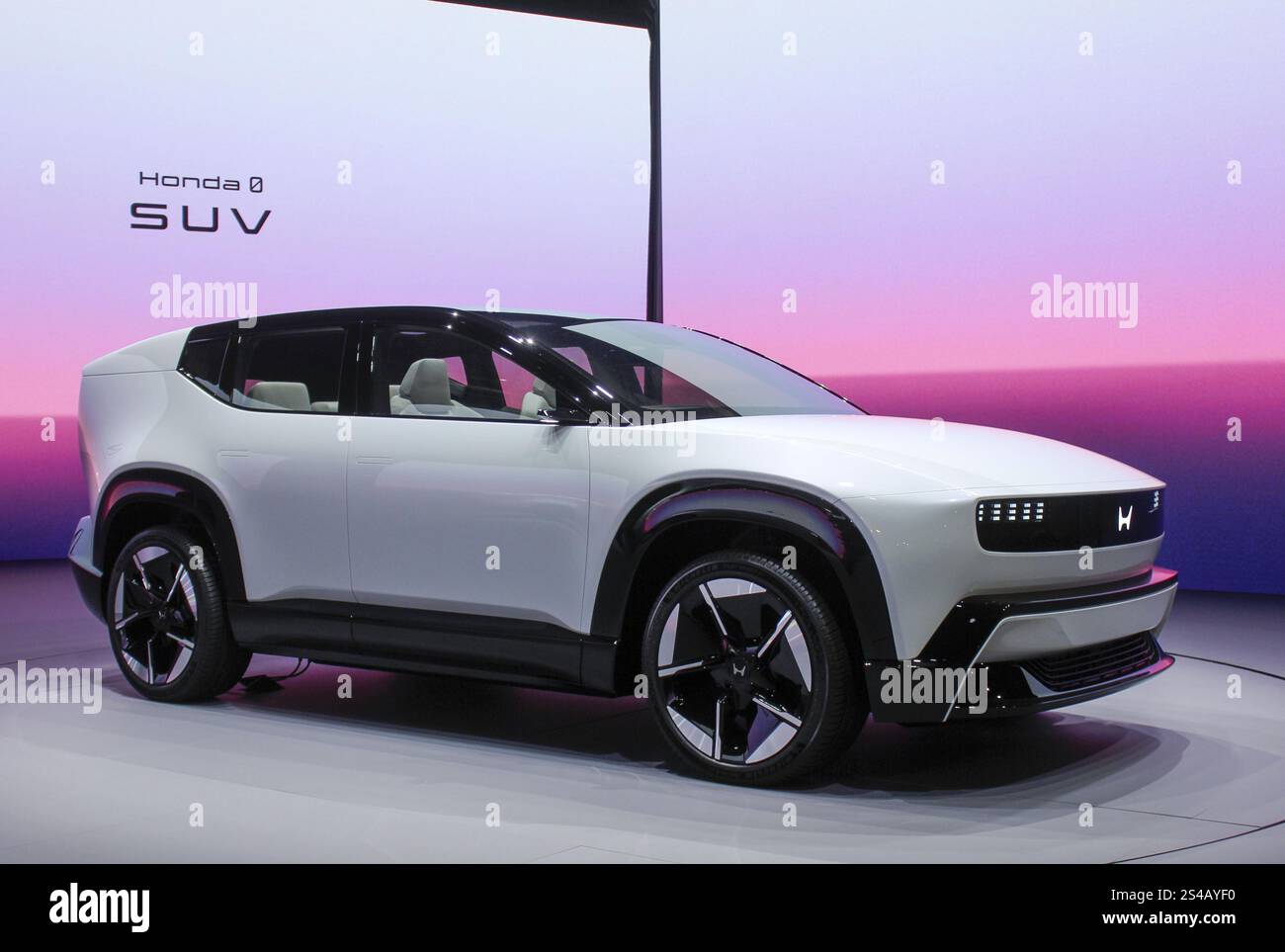 Photo taken Jan. 7, 2025, shows a sport utility vehicle prototype of ...