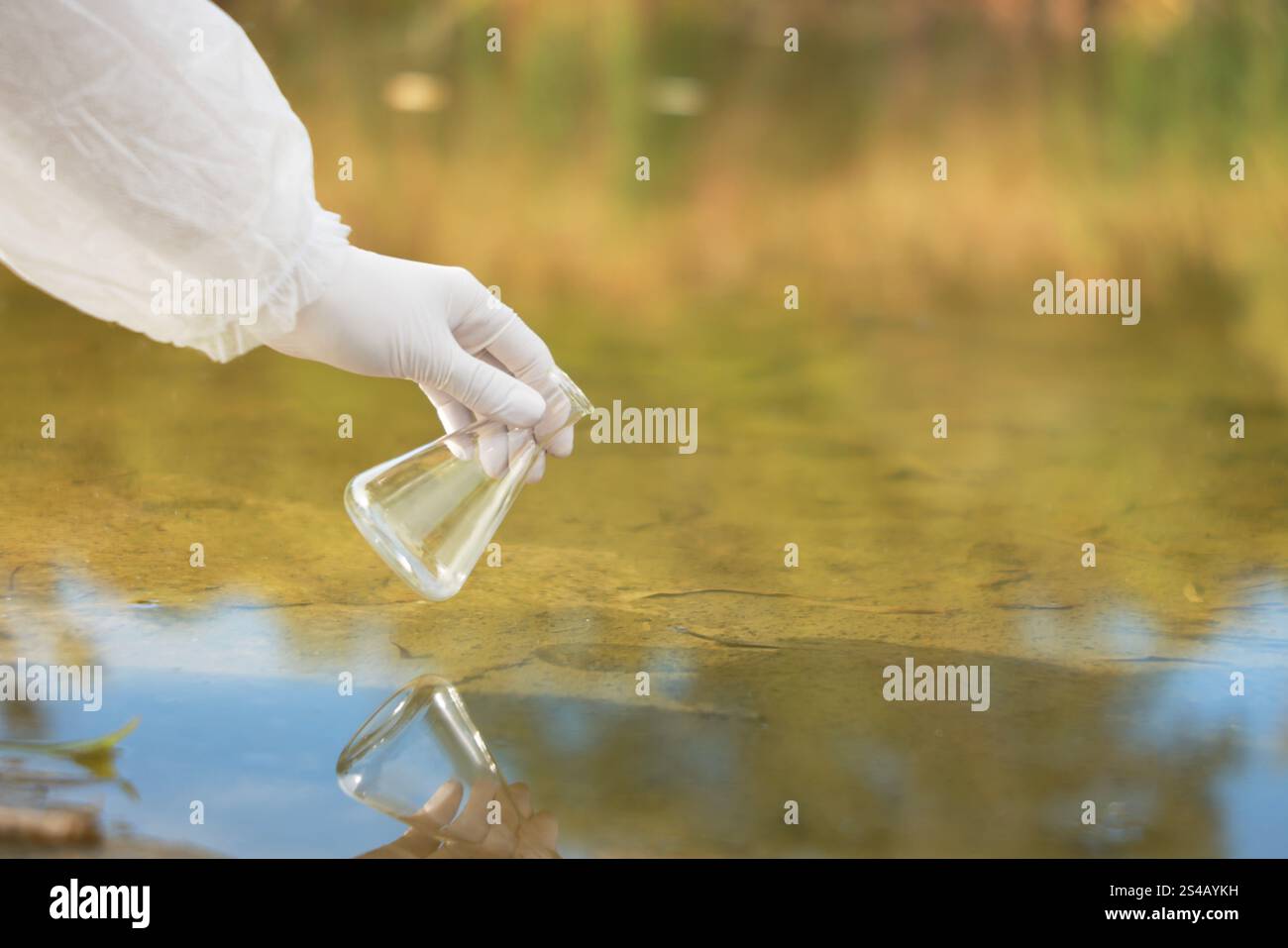 Examination of water quality. Researcher taking water sample from lake ...