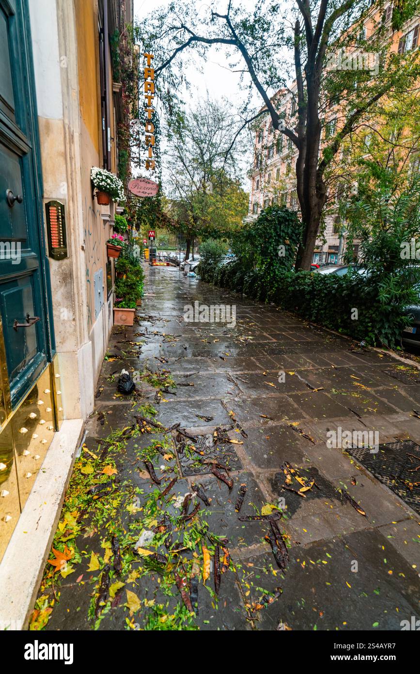 Charming Rainy Street in Rome, Italy with Colorful Plants Stock Photo ...