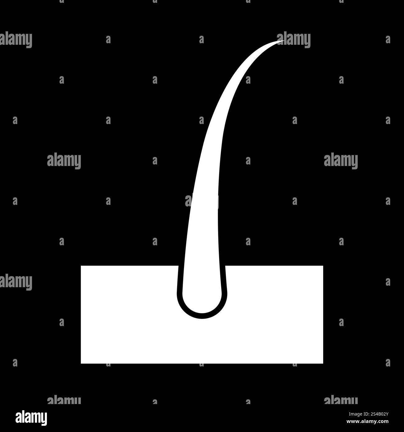 Hair cuticle Black and White Stock Photos & Images - Alamy