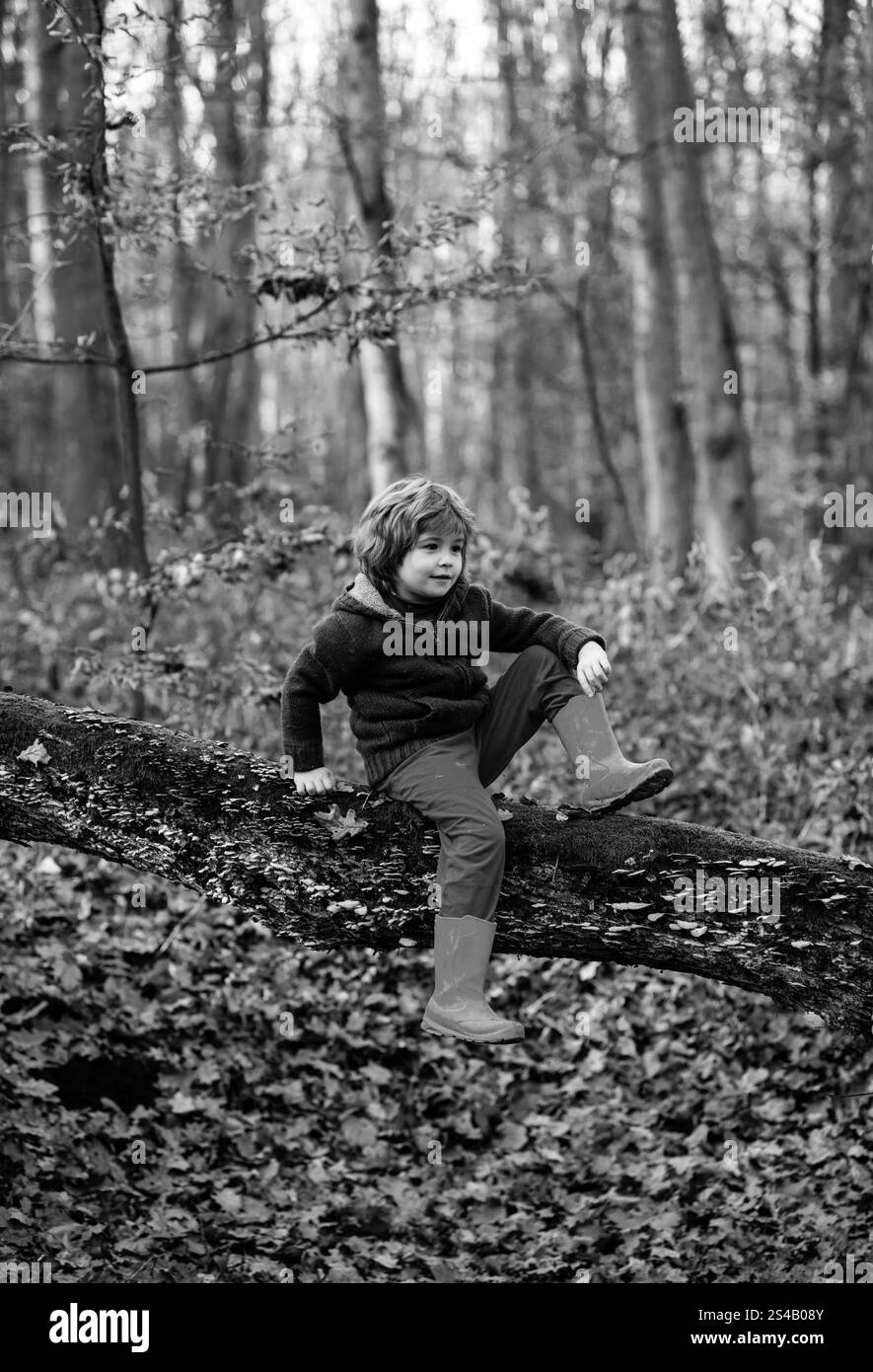 Falling leaves fallen leaves Black and White Stock Photos & Images - Alamy