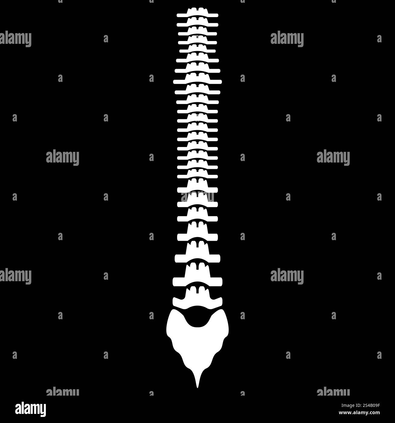 Human spine icon .. Human spine icon Stock Vector Image & Art - Alamy