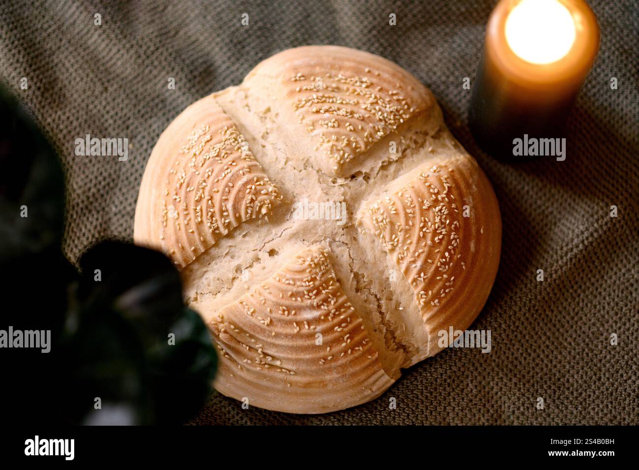 Homemade bread in an interior with a warm light and plant Stock Photo ...