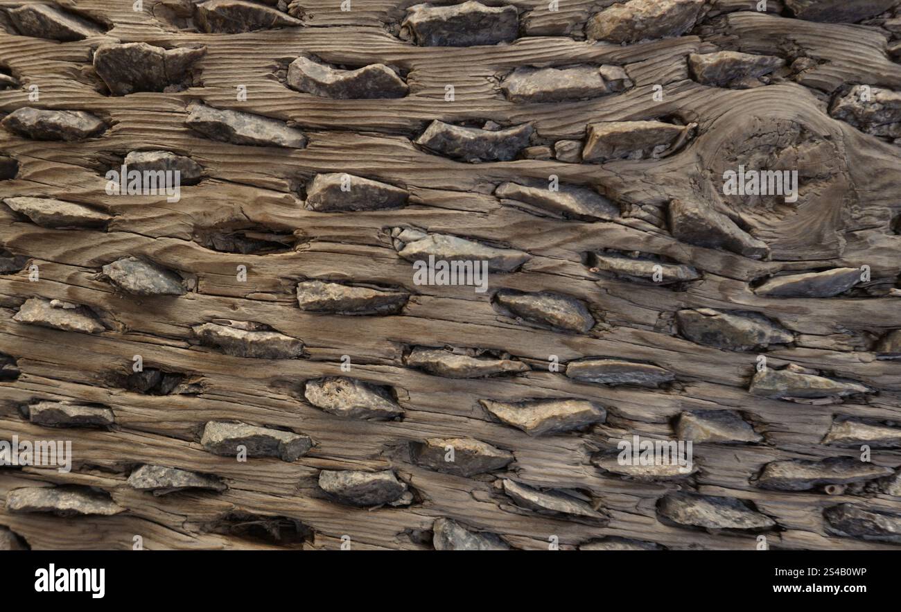 Flint stuck in wood, agricultural implement, wood plank texture background, old wood Stock Photo ...