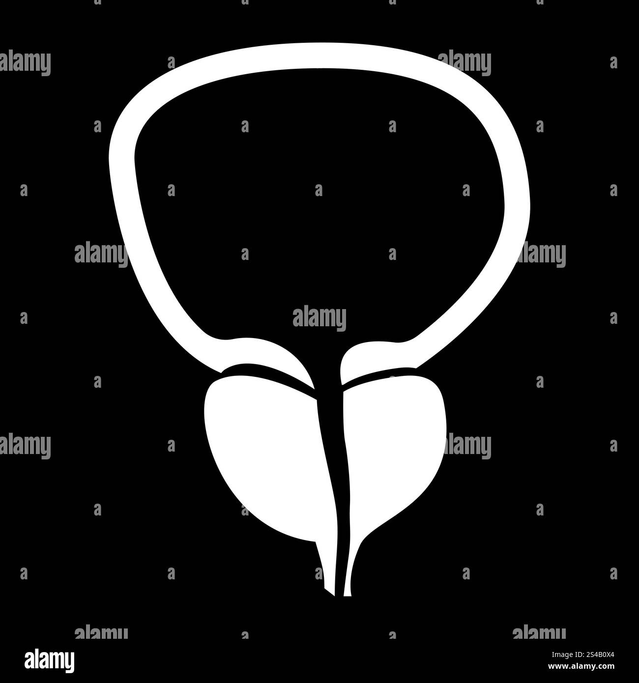 The prostate gland and bladder white color icon .. The prostate gland ...