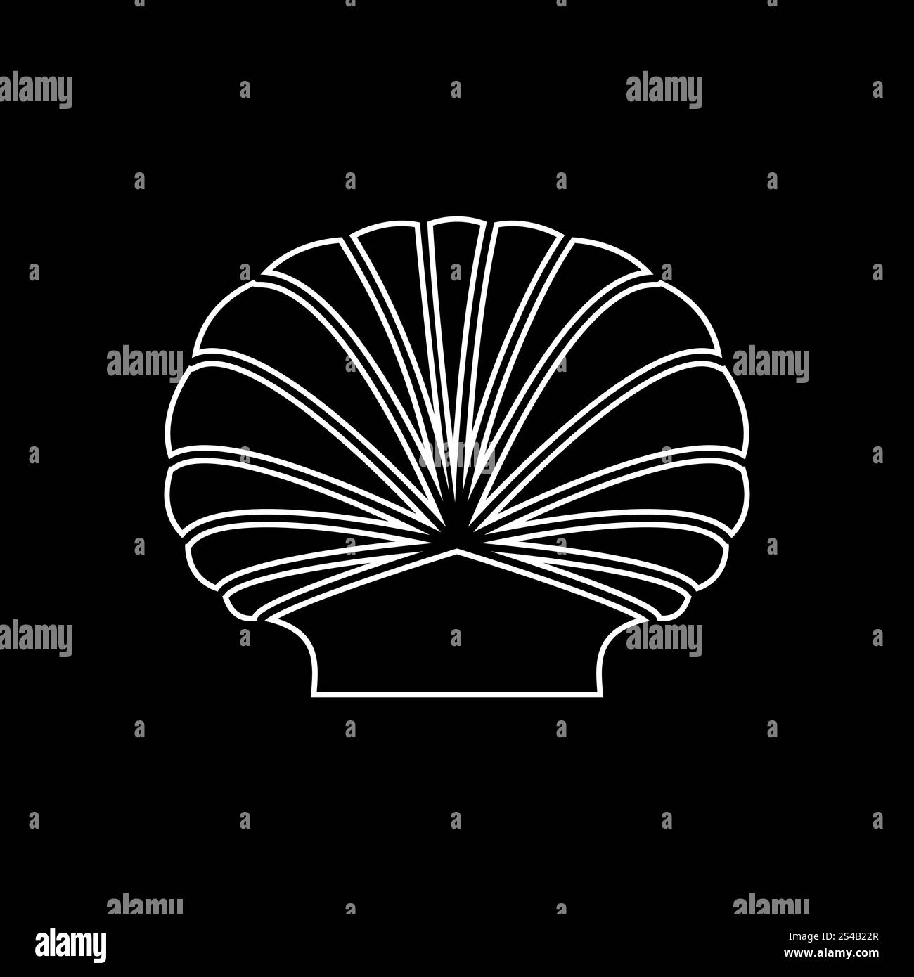 White sea shell Black and White Stock Photos & Images - Alamy