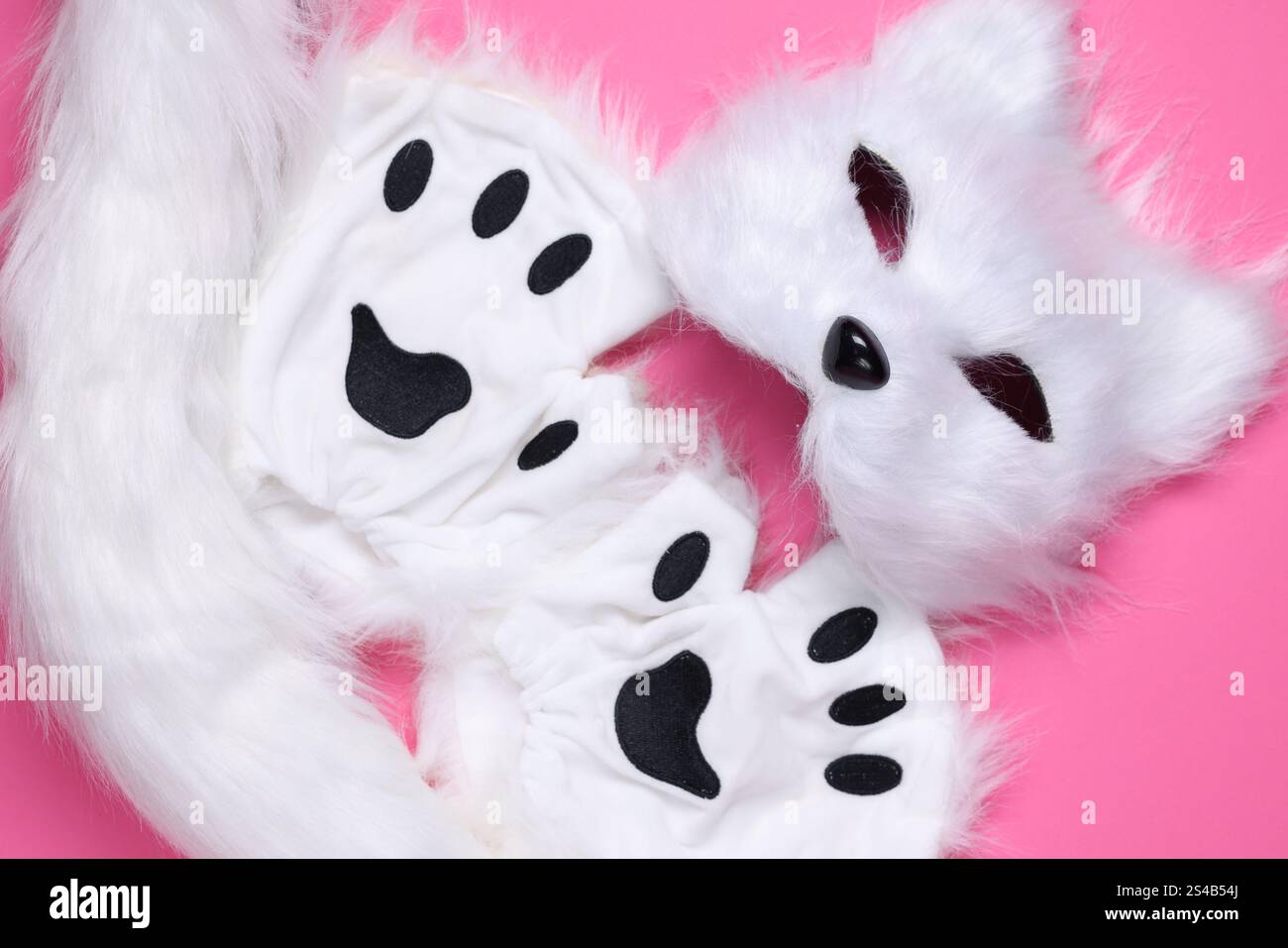 Quadrobics. Cat mask, tail and gloves on pink background, top view ...