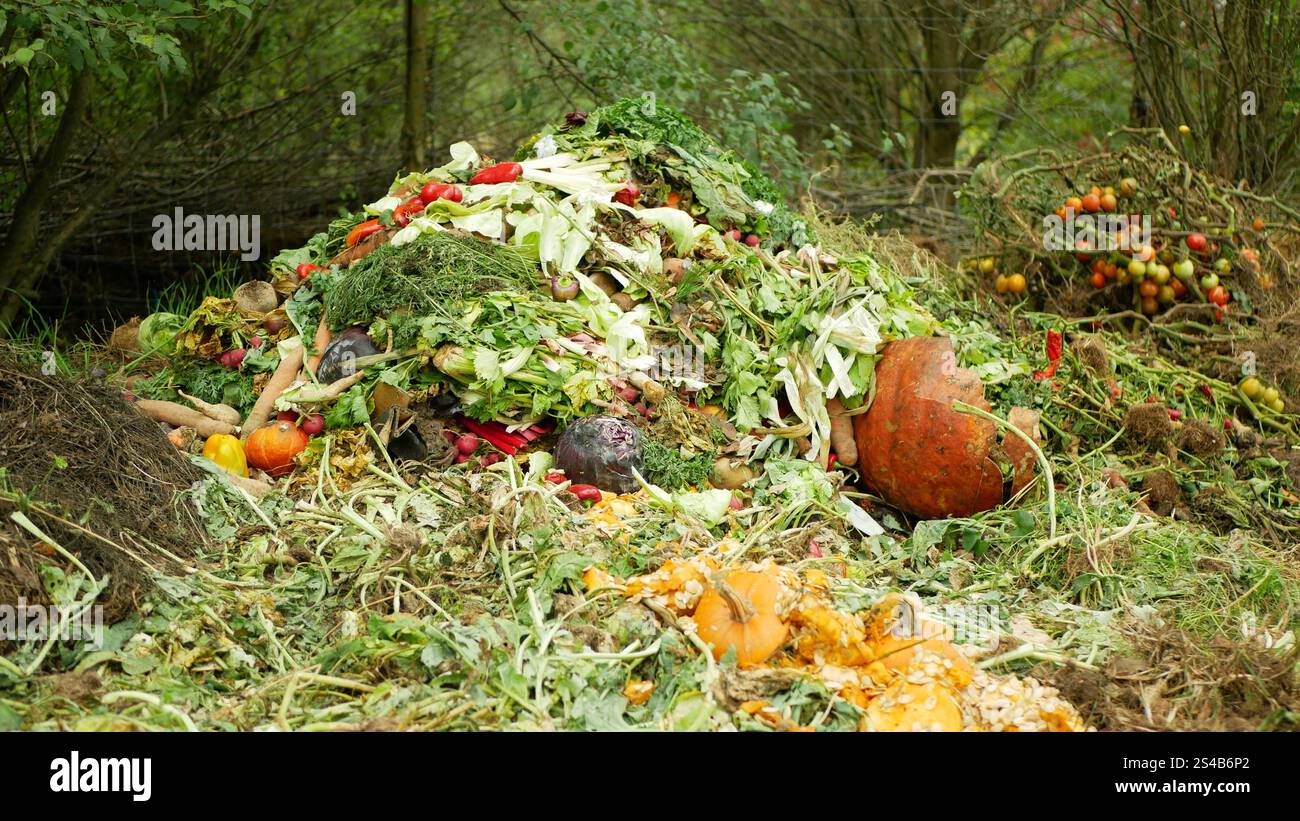 Compost vegetable bio farm autumn rotten tomato pumpkin pepper lettuce ...