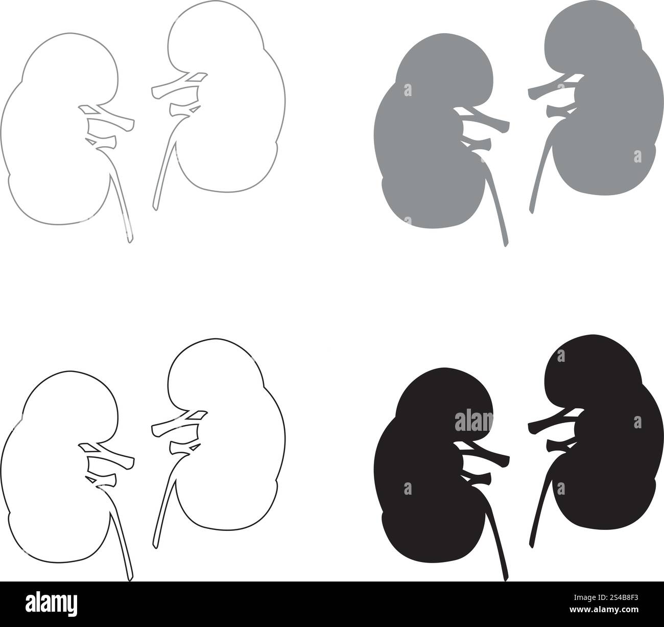 Kidney the black and grey color set icon .. Kidney it is the black and ...