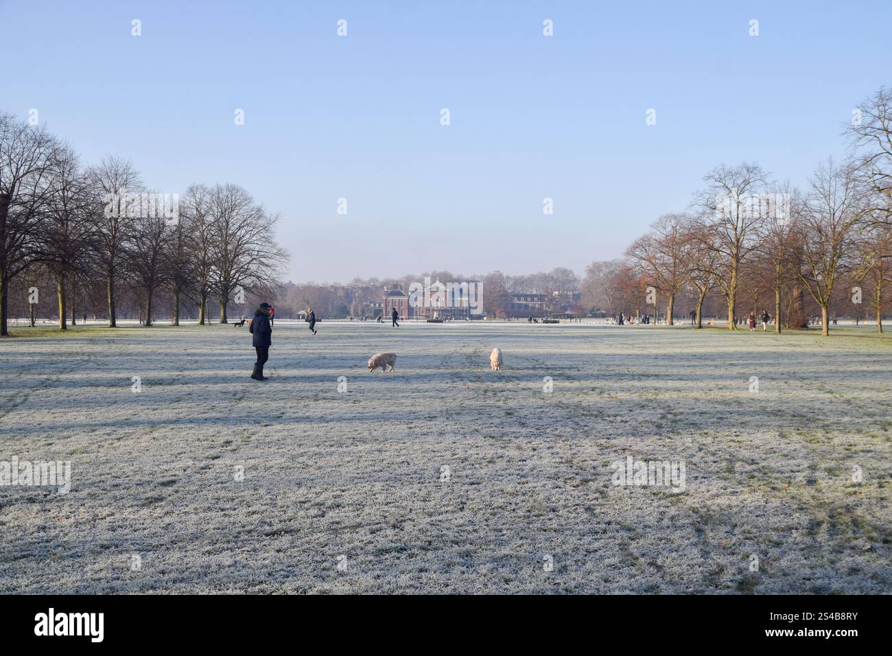 London, England, UK. 11th Jan, 2025. Frosty morning in Kensington ...