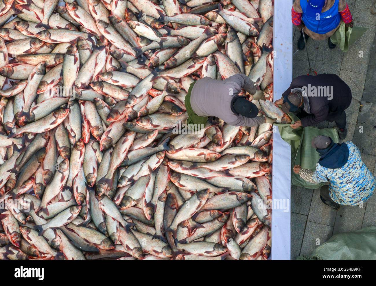 (250111) -- TAIZHOU, Jan. 11, 2025 (Xinhua) -- A drone photo shows ...
